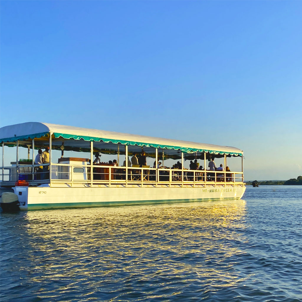 Zambezi River Cruise - Dingani Tours